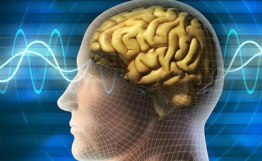 Expanding Brain Generator